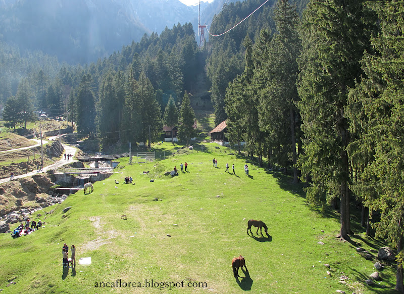 destinatiidevacanta.blogspot.com: Buşteni - Babele, Sfinxul - Platoul ...