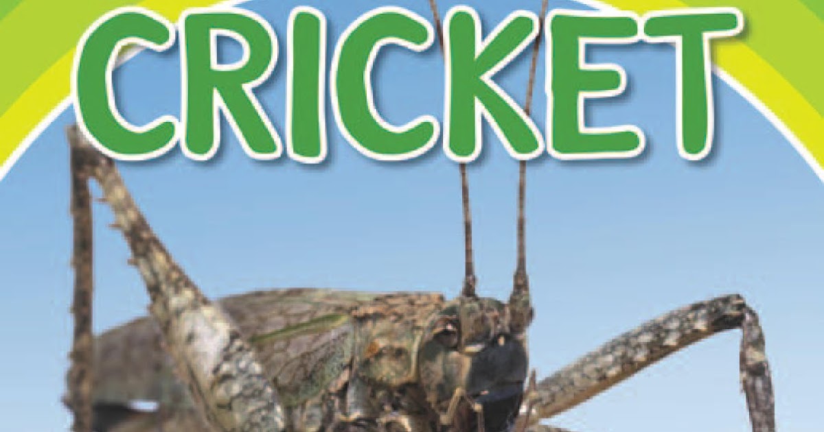 Read My eBooks & eMagazines for FREE!!!: Cricket (Garden Minibeasts Up ...