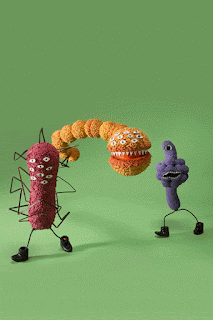 Bacteriology PowerPoint Lecture Notes