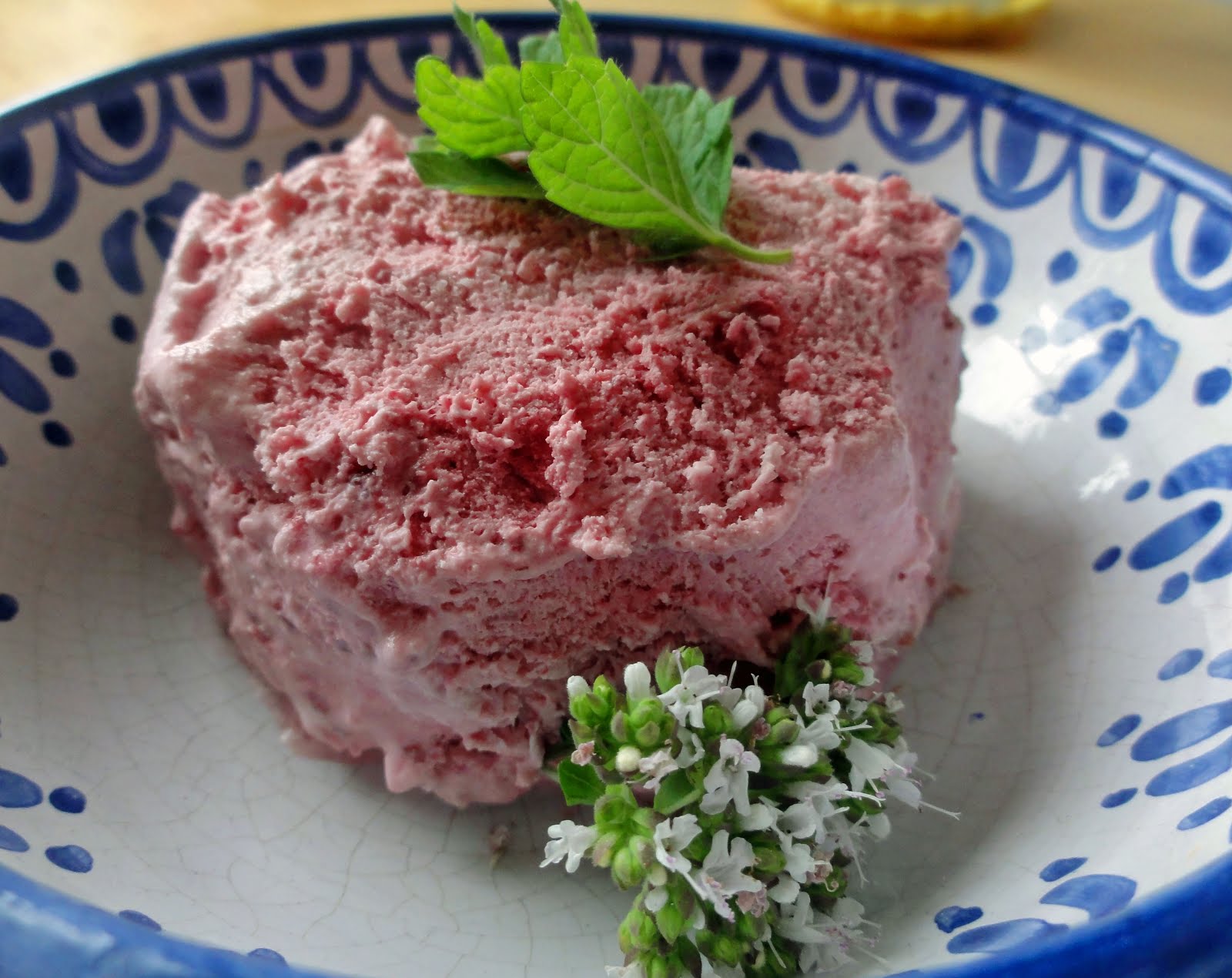 Sadni sladoled ~ Anti-kandida dieta