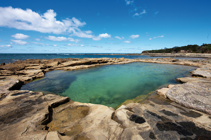 Kit's Cucina Culinaria: The Cape Tavern