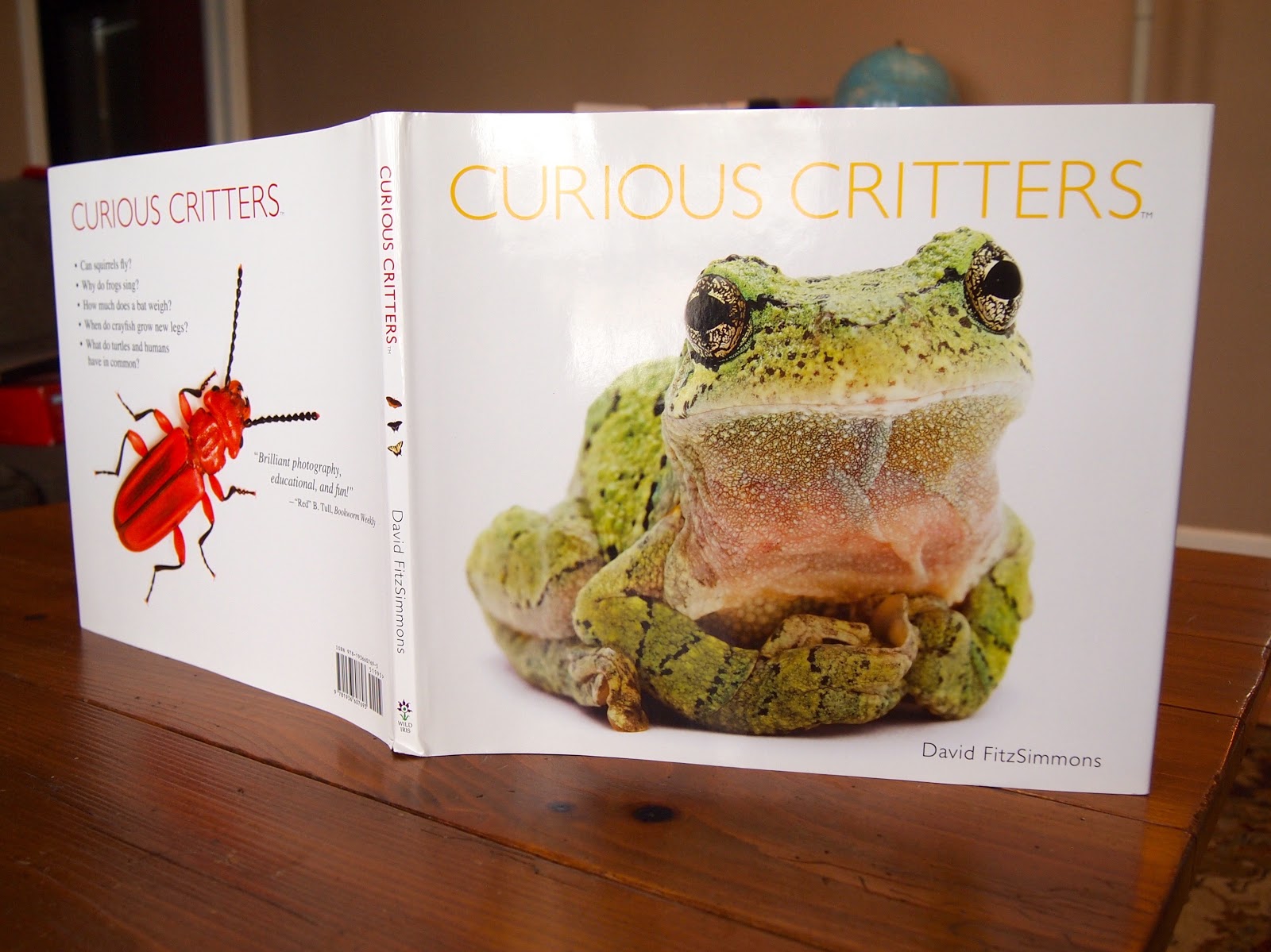 Pure Joy: Curious Critters