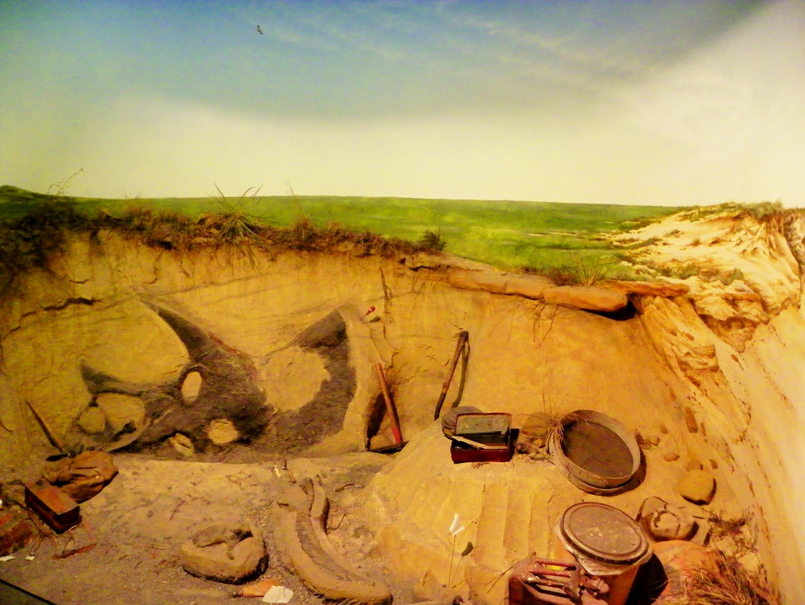 BONE ROOMS: December 2011