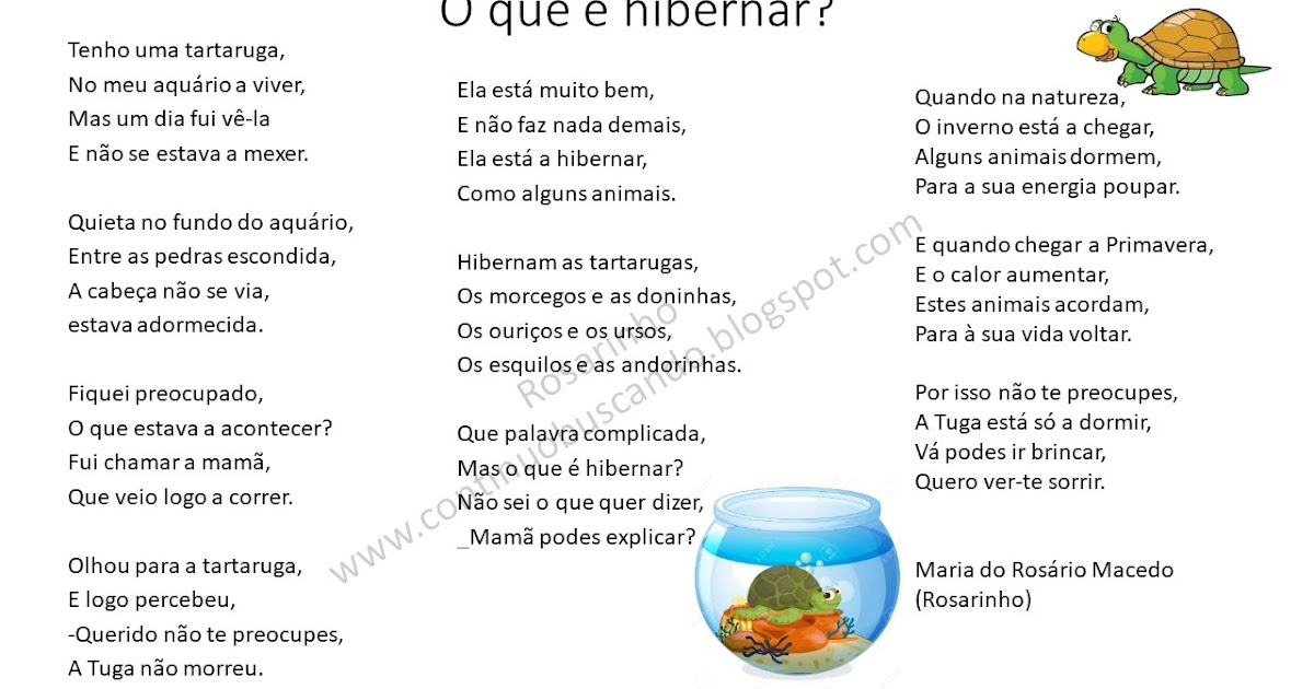 Continuo buscando...: O que é hibernar?