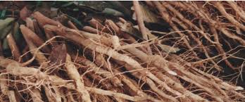 ILMU PETERNAKAN, PERTANIAN DAN MAMFAATNYA BAGI DUNIA: TEKHNIK PEMILIHAN ...