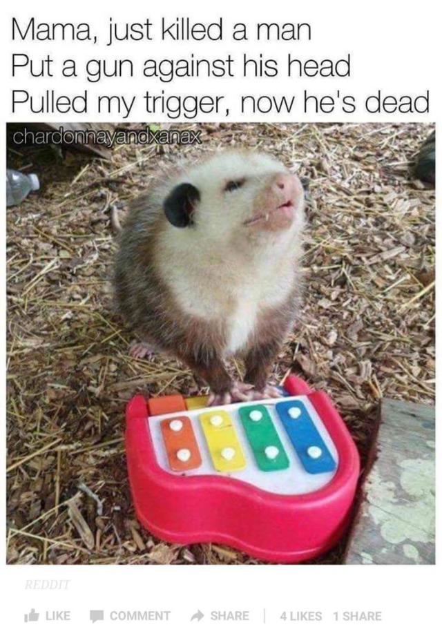 26 Meme That Will Change Your Mood For Better.