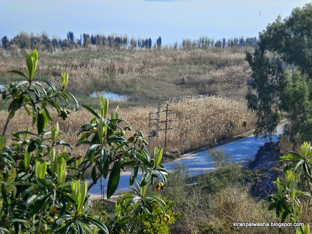 An overview of Kallar Kahar city and Lake from the top of the hill.
