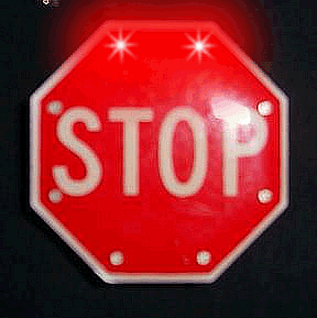 The Confessions of an Emotionally Compromised Teenage Girl