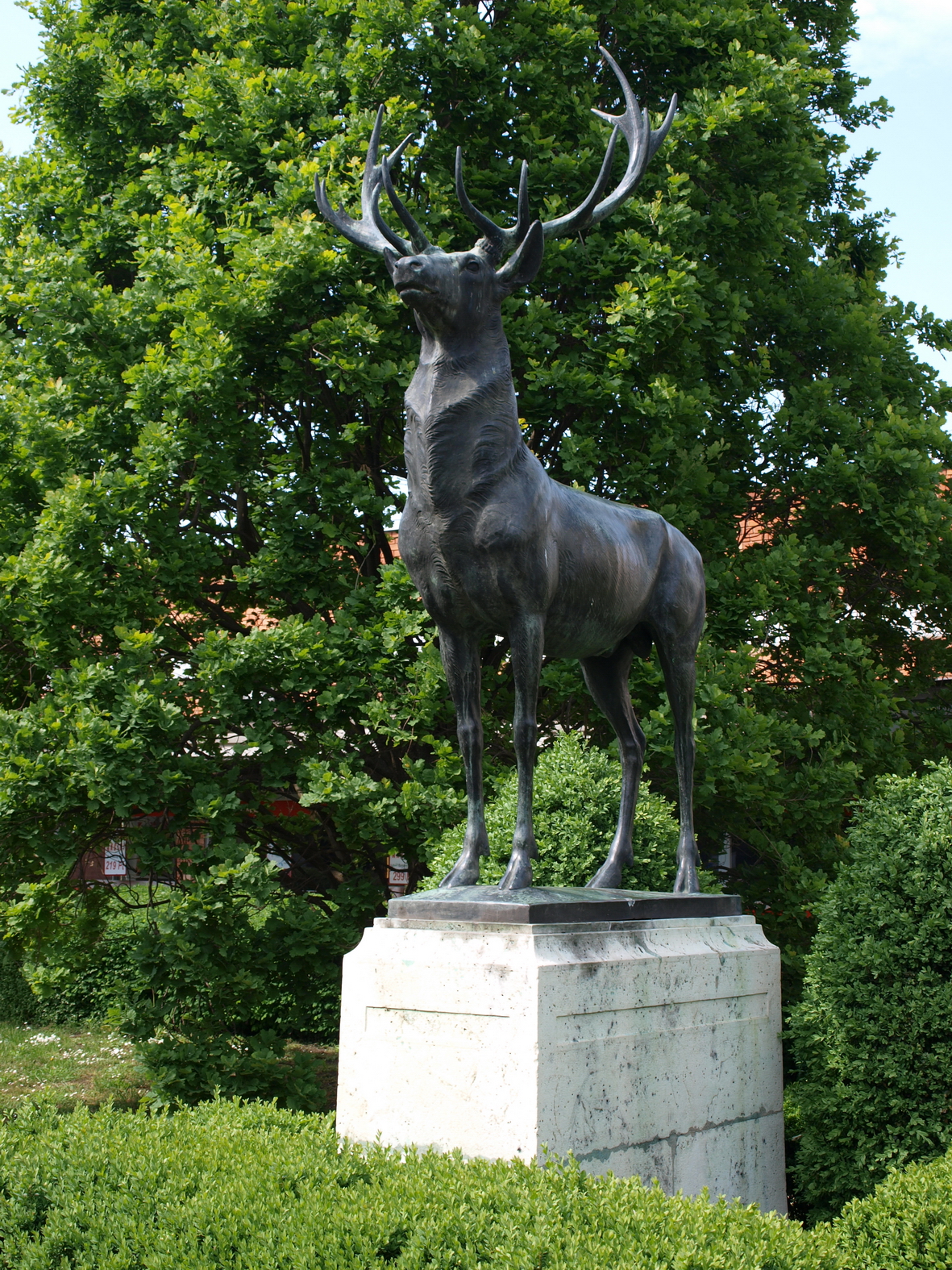 MAGYAR BARANGOLÓ: Szarvas