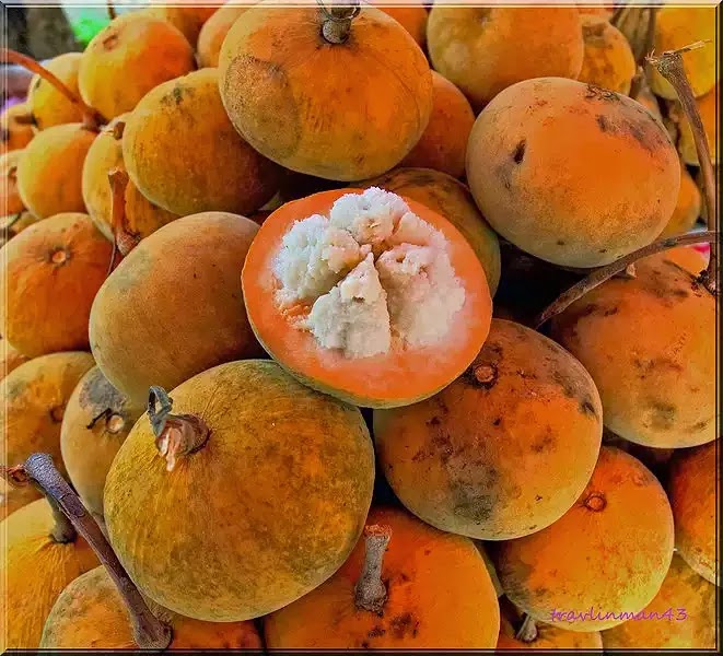 STOP CANCER AND ALZHEIMER'S WITH CONSUME HEALTHY SANTOL FRUIT
