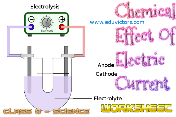 CBSE Papers Questions Answers MCQ CBSE Class 8 Science cbse-papers-questions-answers-mcq-cbse-class-8-science