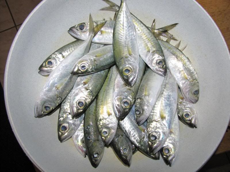 paleric: "ON MY WAY TO BUY ATULAI"