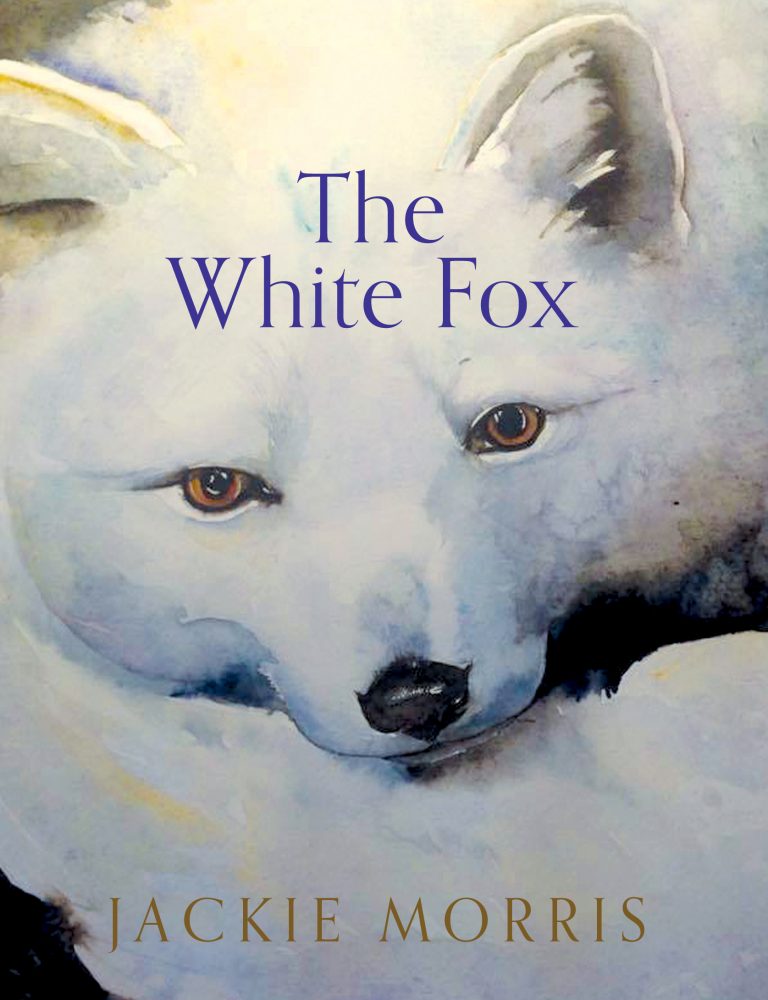 Drawing On Books: SOUTH WALES EVENING POST CHILDRENS BOOK REVIEW COLUMN ...