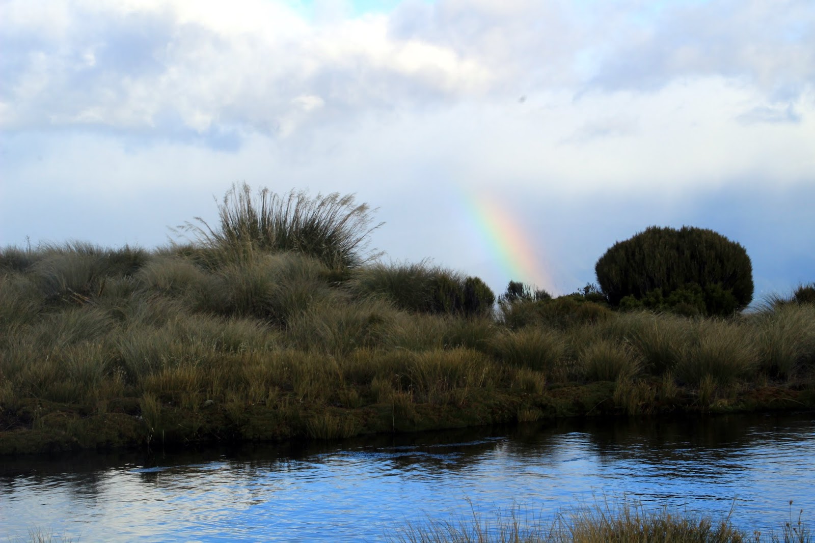 שירים וקרחונים - זילנדיה החדשה: "גם למראה נושן יש ריח של הולדת" - כמעט ...