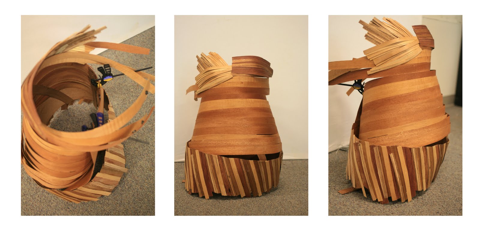 Molly Martin: Wooden Dress