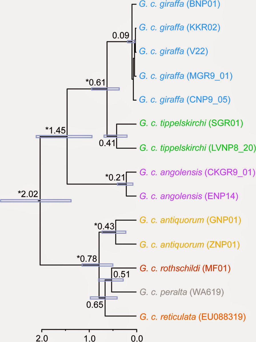 Sciency Thoughts: The genetic diversity and distribution of modern ...