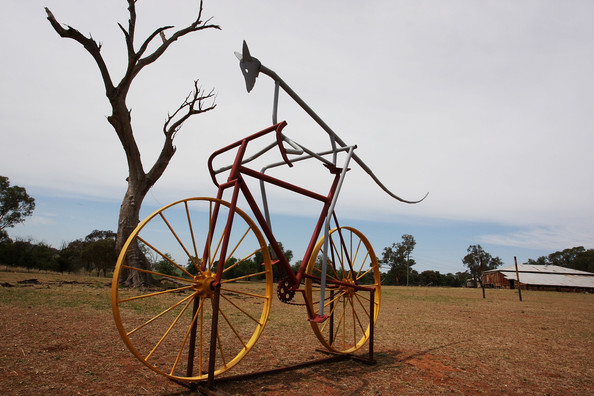 Animalarium: Sunday Safari - Animals on Bikes