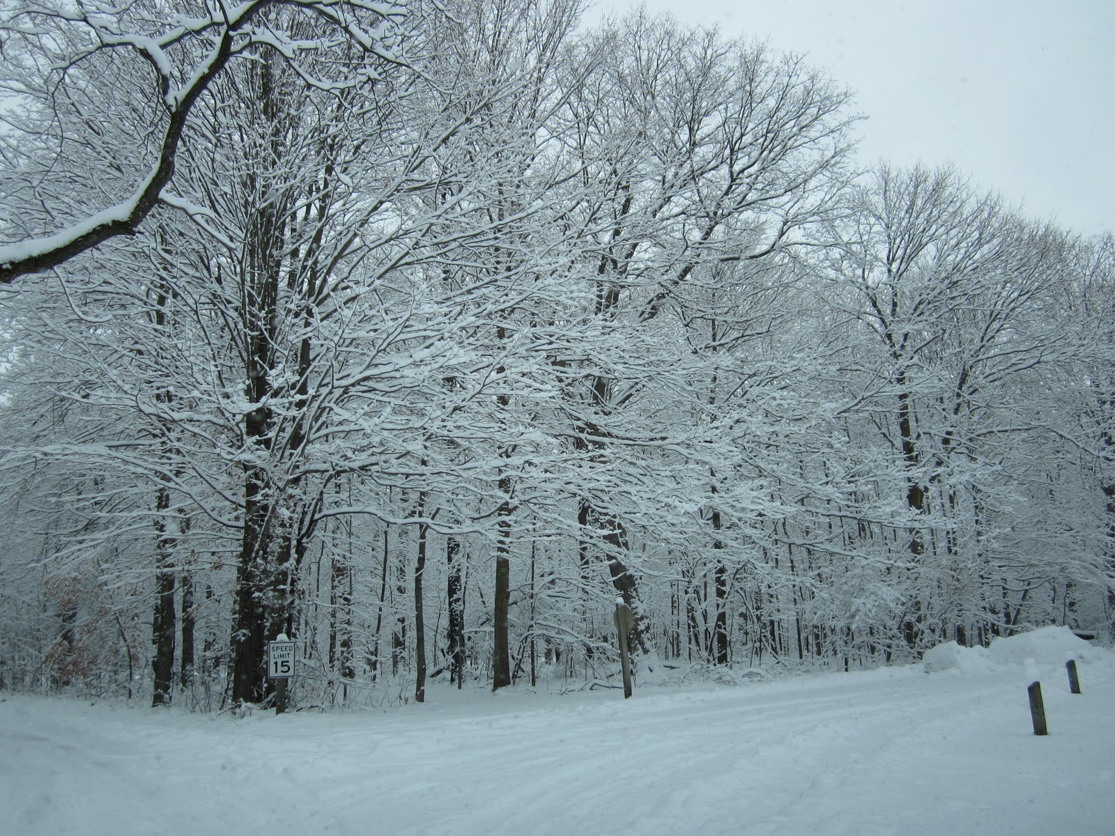 Nostalgic Tour: Michigan Winter