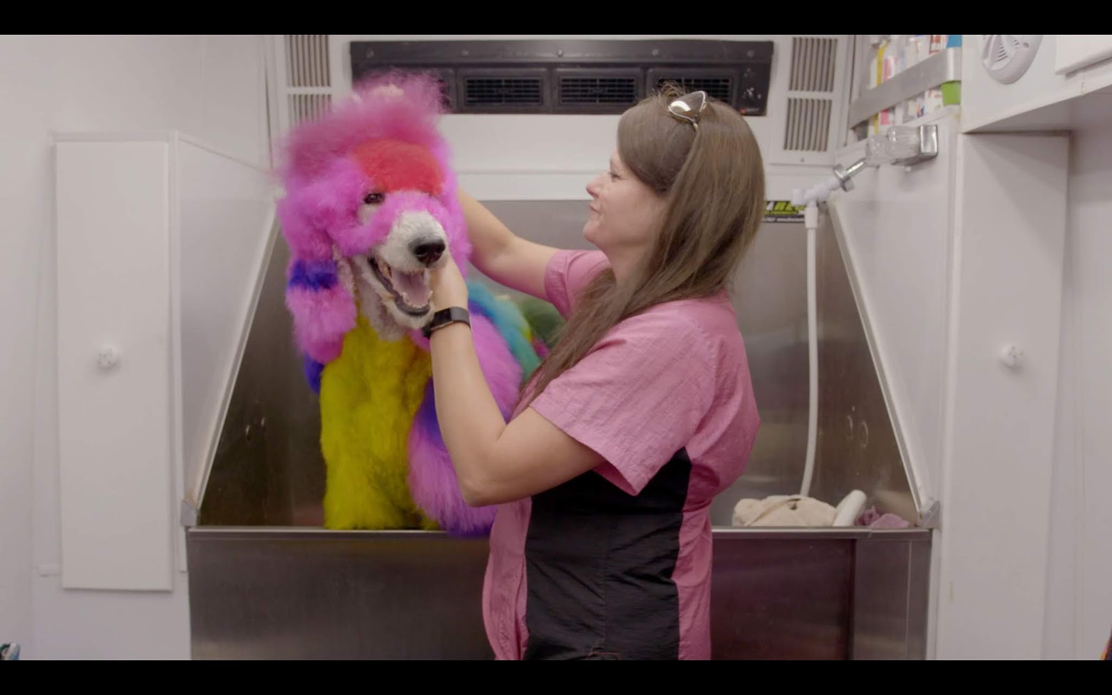 Movie Review: "Well Groomed" (SXSW 2019) | Lolo Loves Films