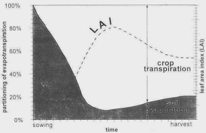 EVAPORATION, TRANSPIRATION & INFILTRATION: EVAPOTRANSPIRATION