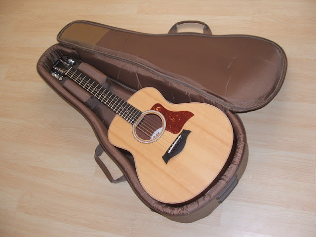 Gary Deacon - Solo Guitarist: Taylor GS Mini - Review and Photographs