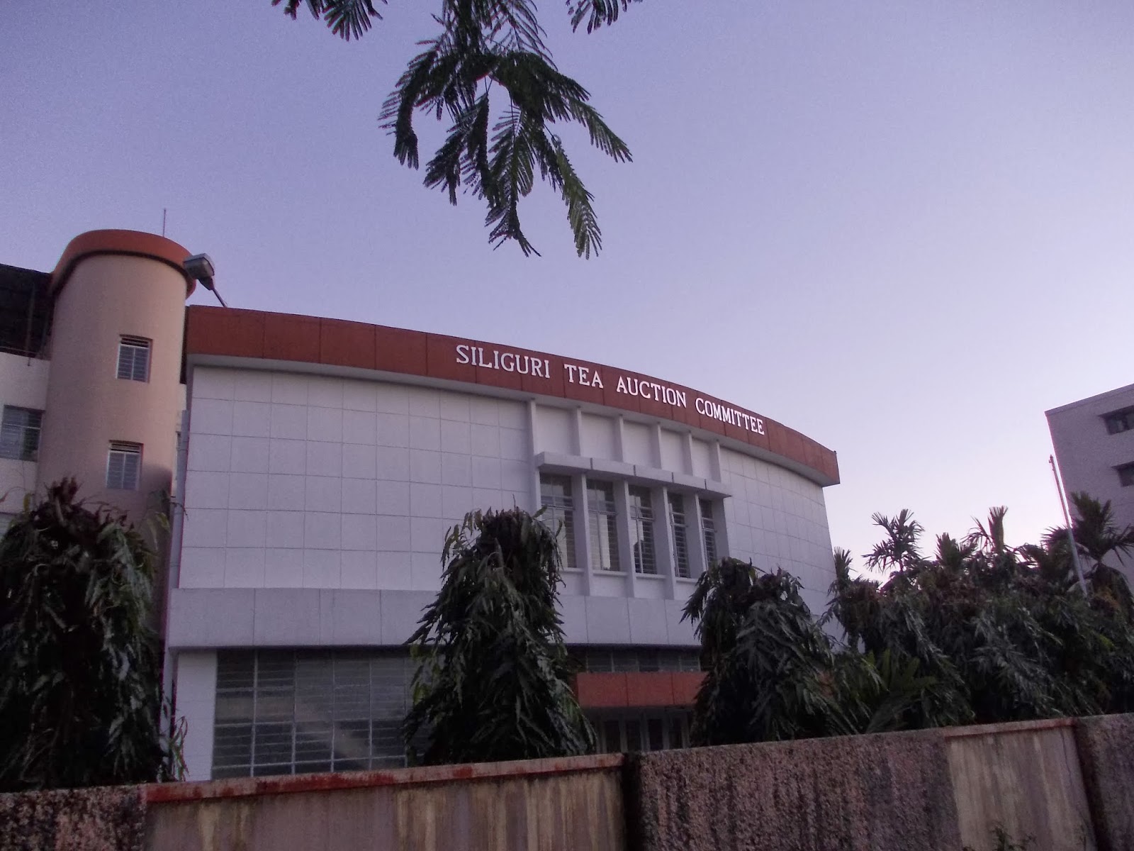 UDAY SAHA: TEA TOURISM AT SILIGURI AND DOOARS