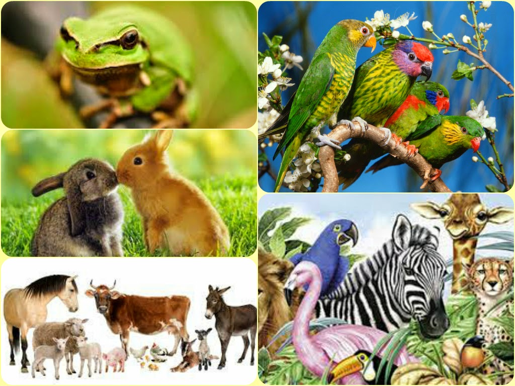 LOS ANIMALES