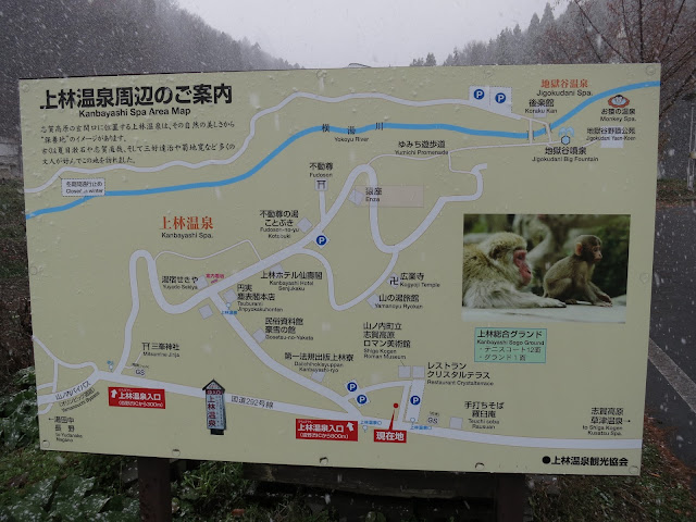 Tokyo Consult: Day Trip from Tokyo - Quest for Snow Monkey in Nagano ...