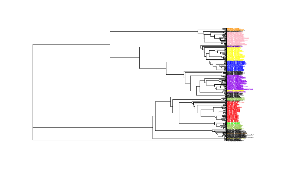 R for Biochemists: Colouring my kinome phylogenetic tree...