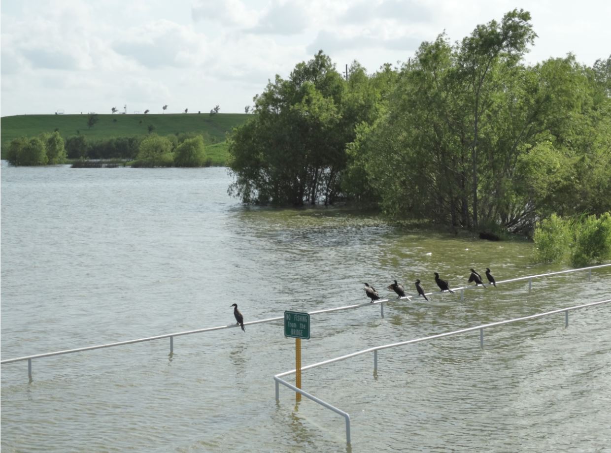 H-Town-West Photo Blog: Stormwater Treatment Wetlands under water ...