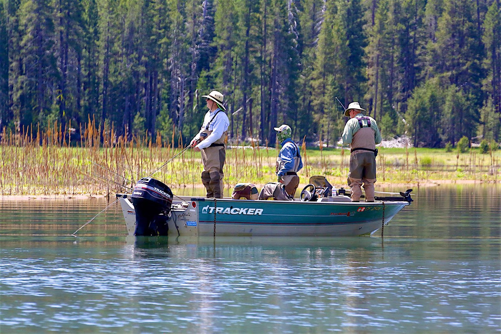 Jon Baiocchi Fly Fishing News: Lake Davis Fishing Report 5/29/2016