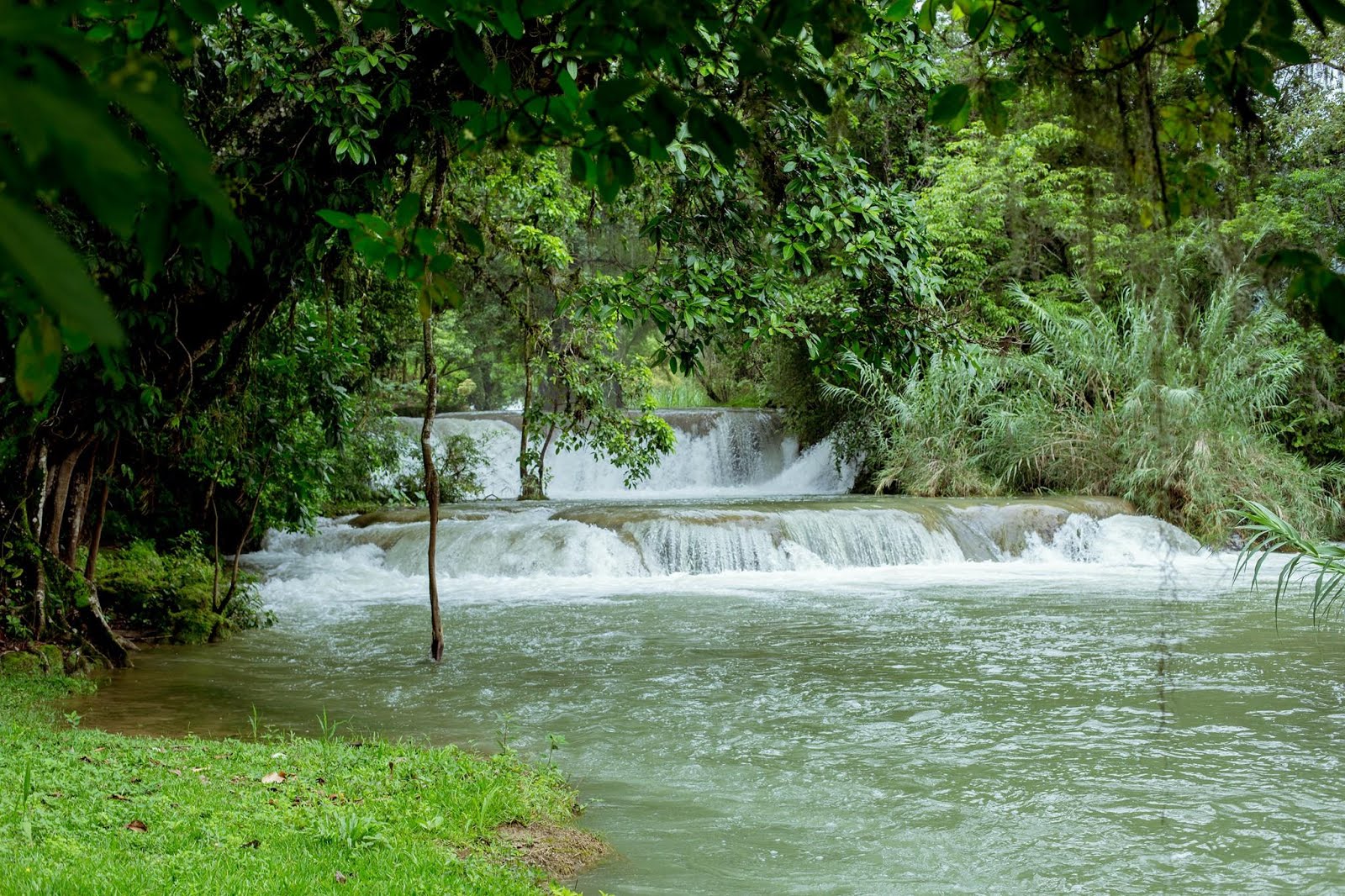 COSAS QUE TIENES QUE HACER ANTES DE MORIR : CONOCE TAMASOPO UN ...