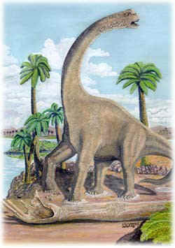 smart_ebook: Andesaurus delgadoi