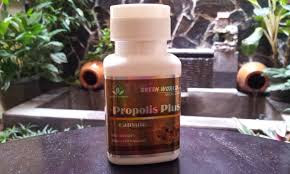 Khasiat dan manfaat propolis plus capsule bisa hub :089606155239 ...