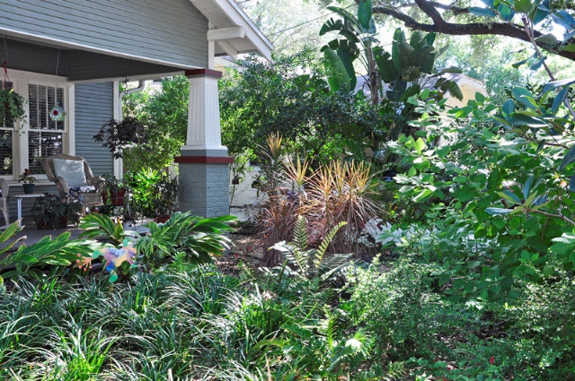 Bay-Friendly Landscaping: Made In The Shade