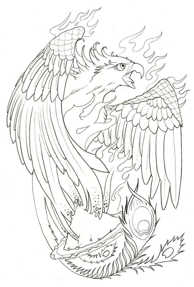 Phoenix Tattoo Coloring Pages Sketch Coloring Page
