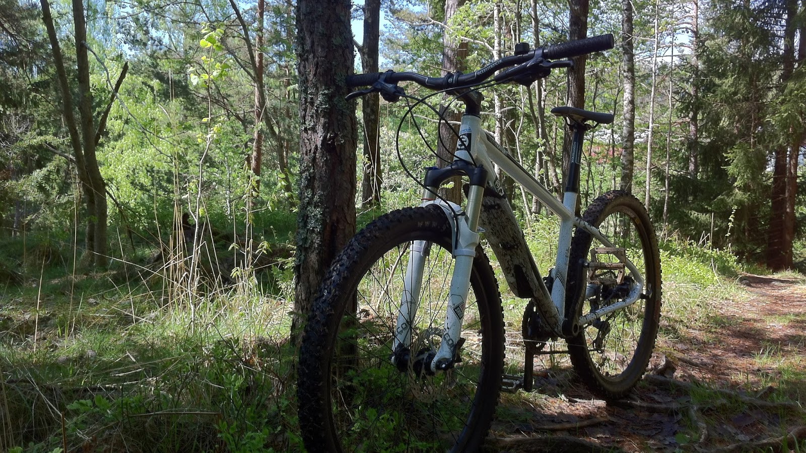 Train.eat.rest: Commencal Supernormal 2 review