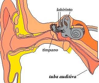PORTAL CAFÉ FISIONET .'.: 2012