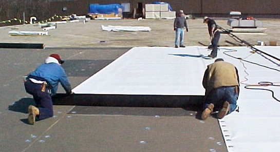 Poliolefinas termoplásticas (TPO) | Tecnología de los Plásticos