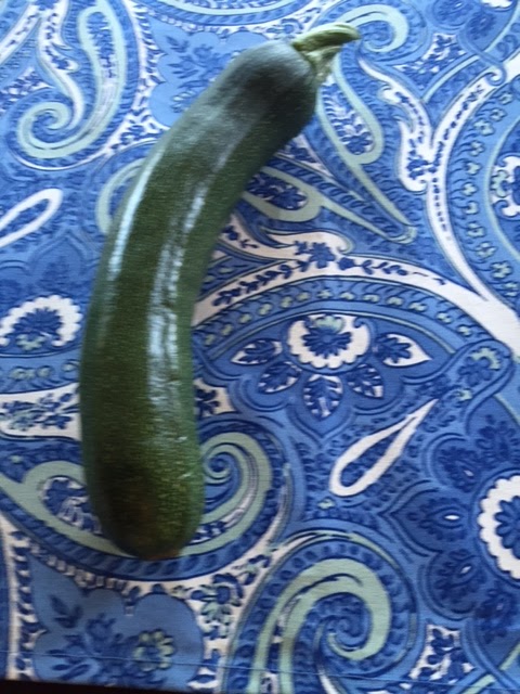 ~ THE LAZY VEGAN ~ HOME OF PACO & LUIGI AND FRIENDS: Veggies from the ...