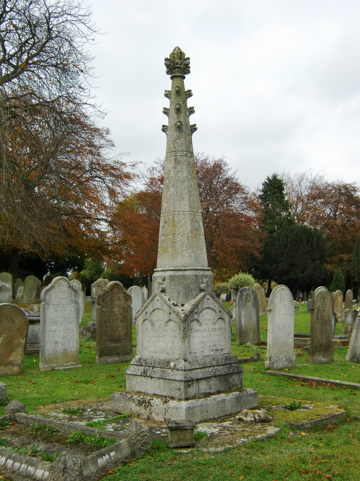 Sleeping Gardens: November 2011