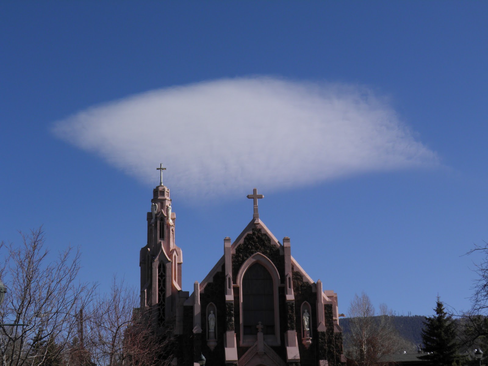 walking flagstaff: spring arriving