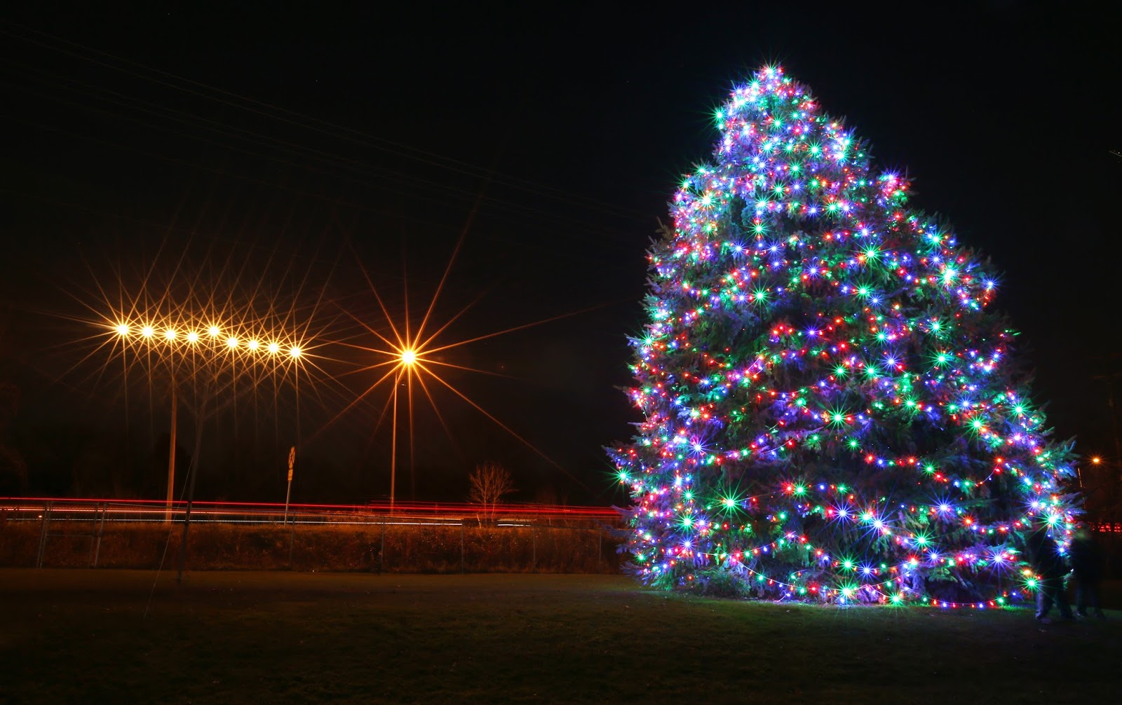 Mark Kodiak Ukena: Vernon Hills' Holiday Tree and Menorah Lighting Ceremony