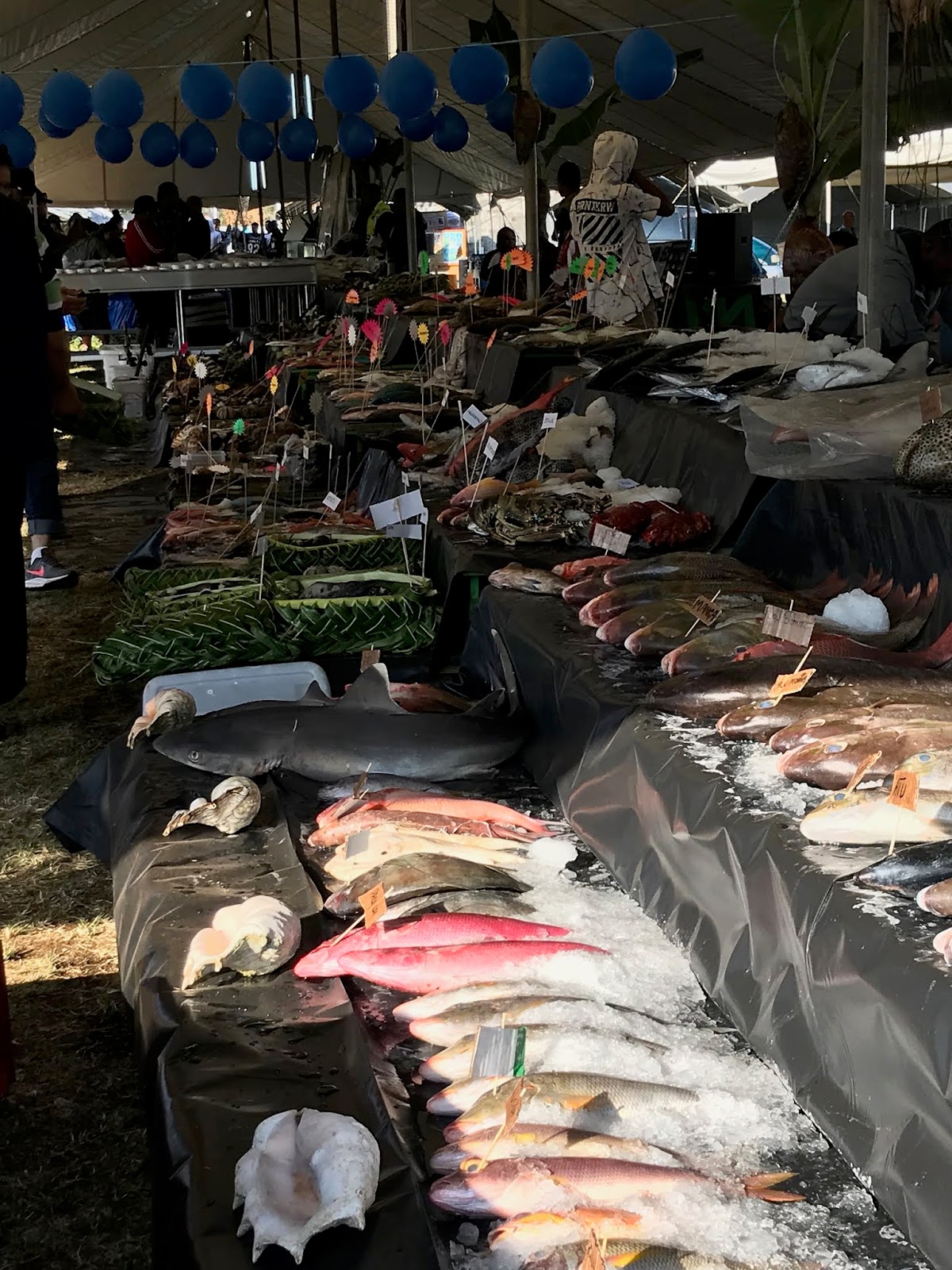 Palmers in Tonga: Agricultural Fair - Fish & Animals