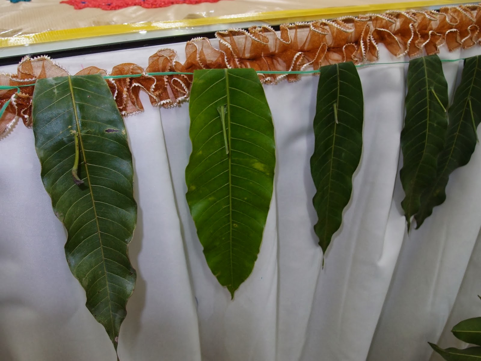 Xing Fu: TORAN OF MANGO LEAVES FOR DIWALI