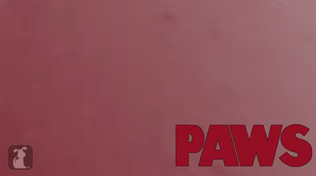 PAWS - The JAWS Parody You Never Knew You Needed, But Definitely Do...