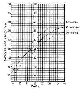 Pemantauan Perkembangan Normal Kehamilan dan Gravidogram ~ All About ...