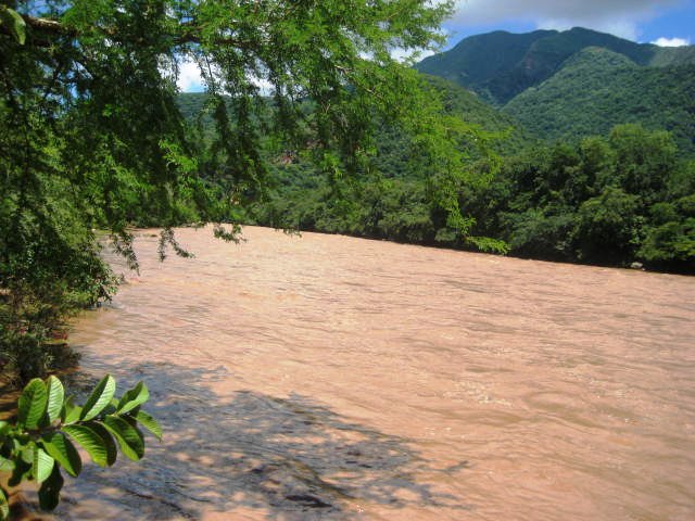 LE COQ EN FER: De Chaco y Parapetí/MIRANDO DE ARRIBA