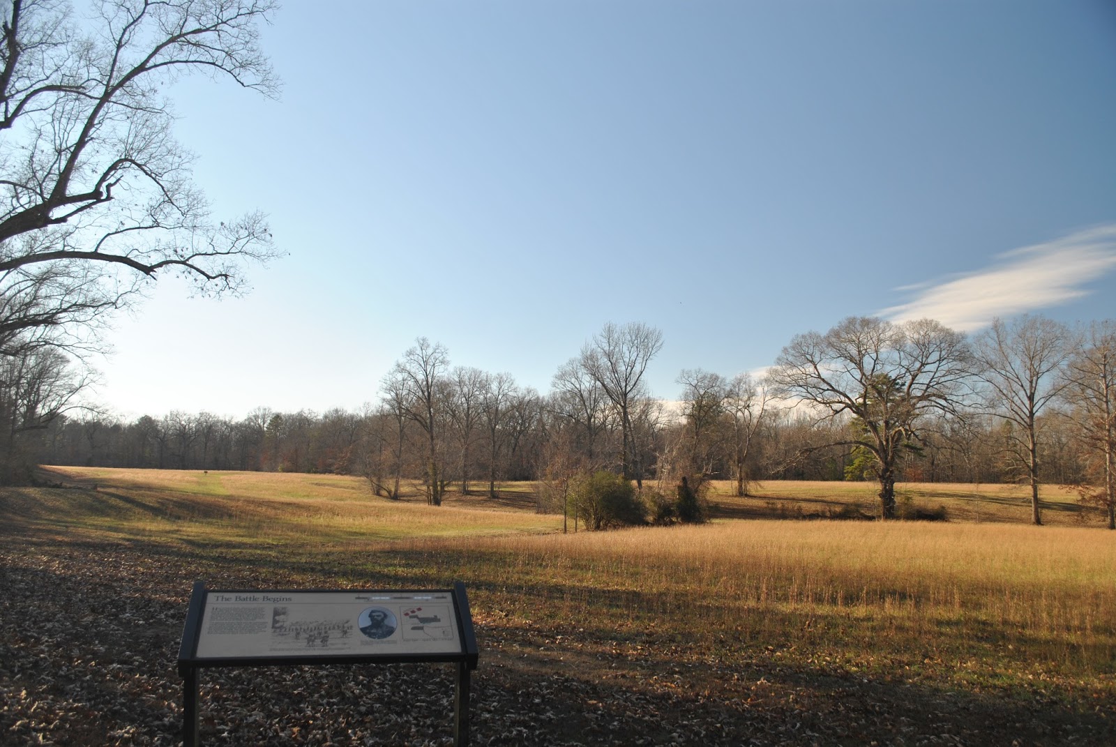 A Thoroughfare for Freedom : The Shiloh Battlefield
