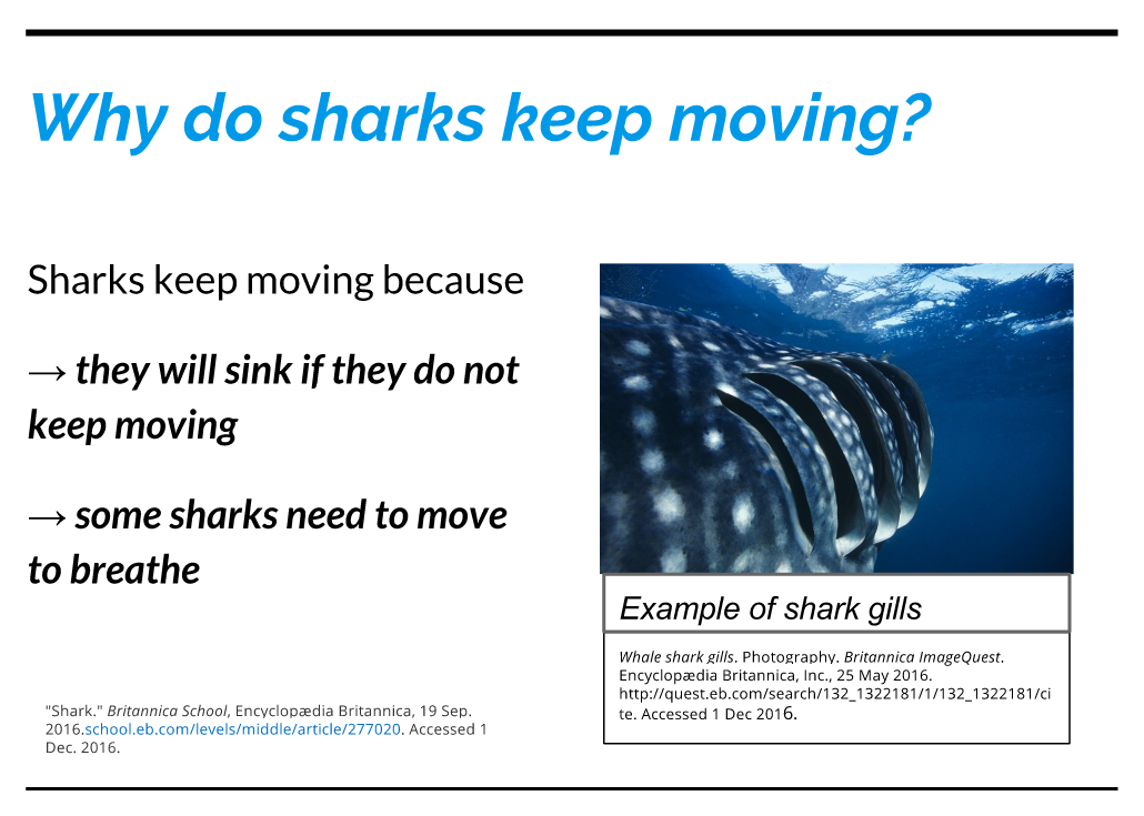 Reederama: Micro Mini Research on Sharks